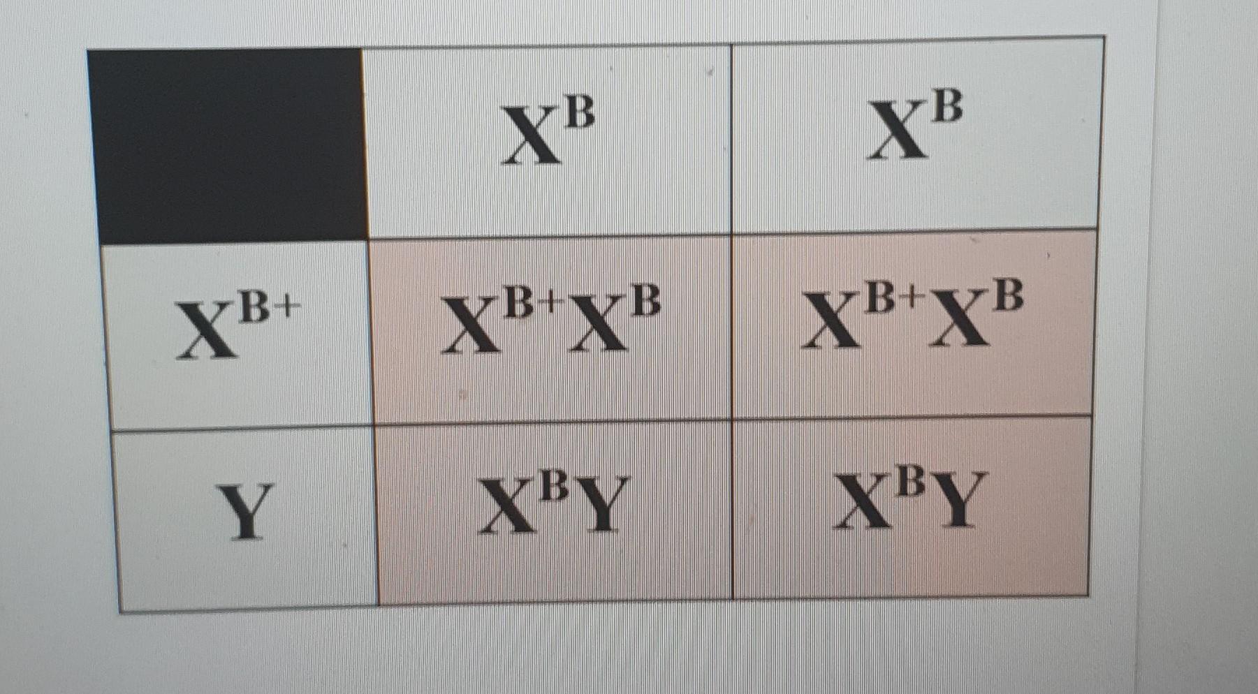 Solved What is the phenotypic and genotypic for this "Bar" | Chegg.com