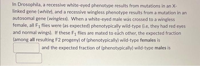 Solved In Drosophila, a recessive white-eyed phenotype | Chegg.com