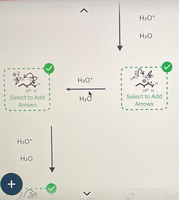 Solved Curved arrows are used to illustrate the flow of | Chegg.com