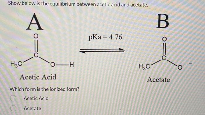 Solved Show below is the equilibrium between acetic acid and | Chegg.com
