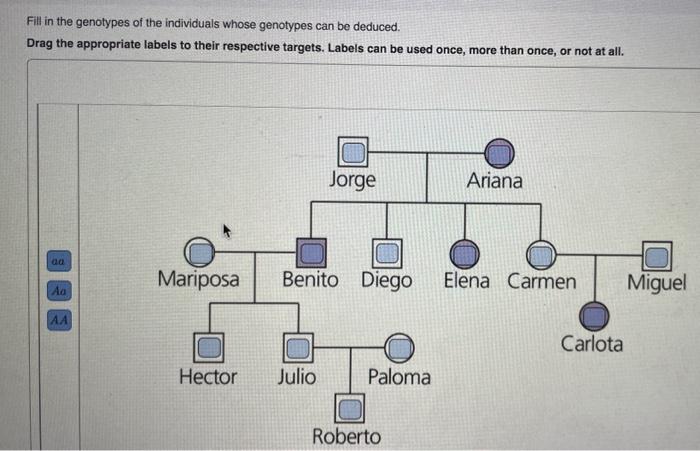 Solved Fill in the genotypes of the individuals whose | Chegg.com