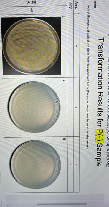 Data Table: Review the results for the 6 experiment | Chegg.com