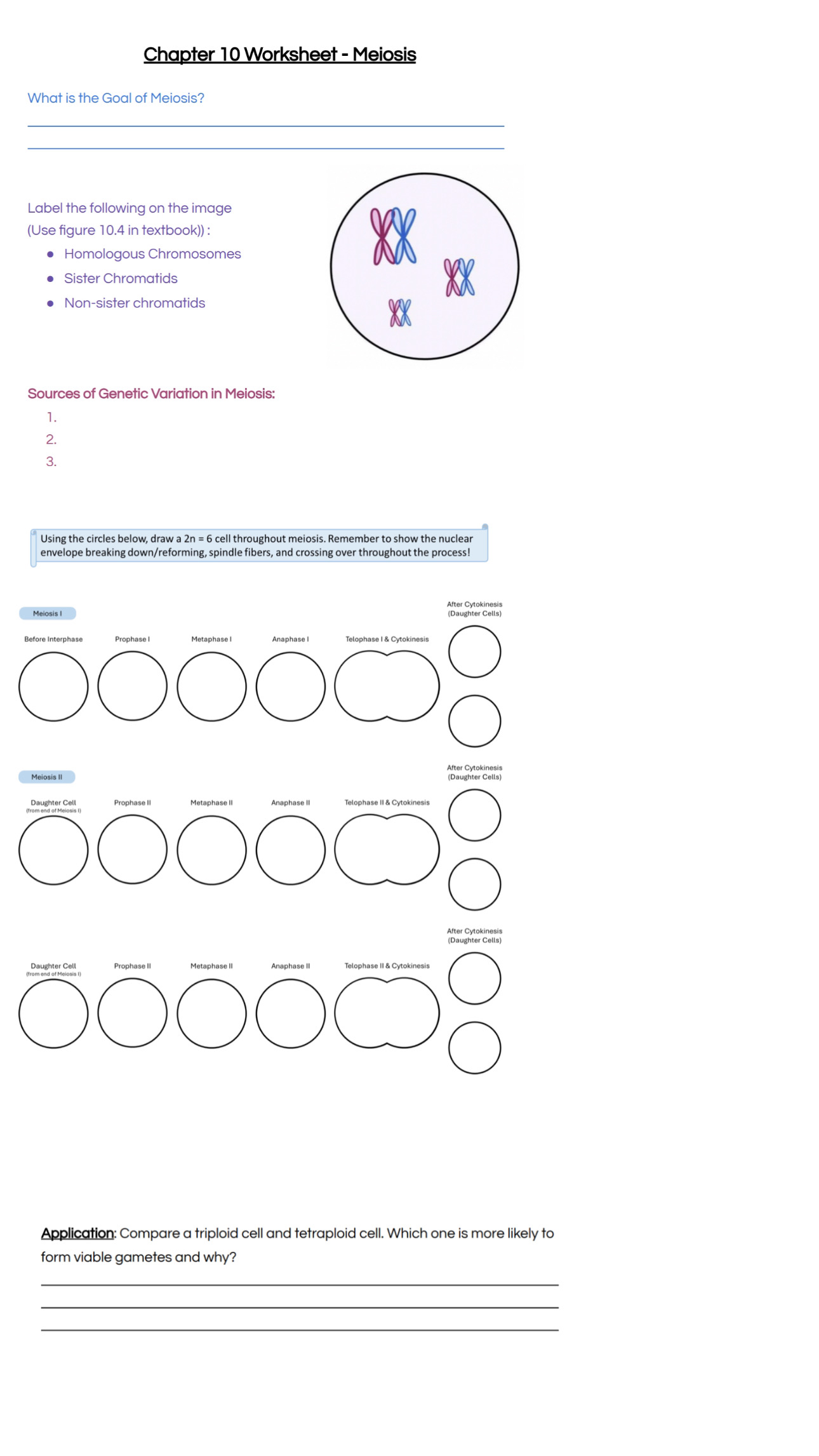 Solved Chapter 10 ﻿Worksheet - ﻿MeiosisWhat is the Goal of | Chegg.com