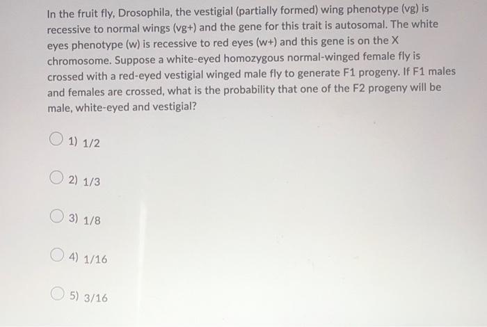 Solved In the fruit fly, Drosophila, the vestigial | Chegg.com