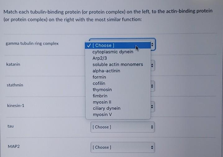 Solved Match each tubulin-binding protein (or protein | Chegg.com