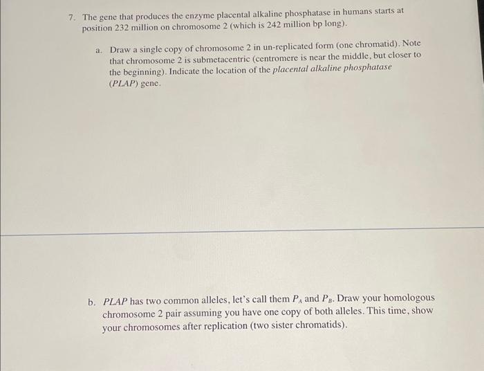 Solved 7. The gene that produces the enzyme placental | Chegg.com