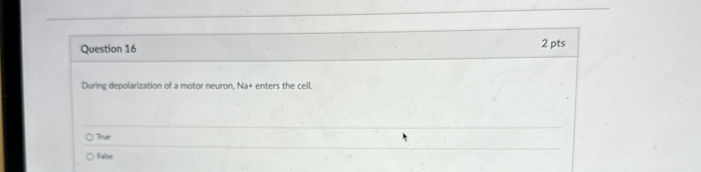 Solved Question 162 ﻿ptsduring Depolarization Of A Motor