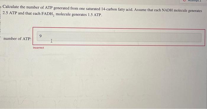 Solved Calculate the number of ATP generated from one | Chegg.com