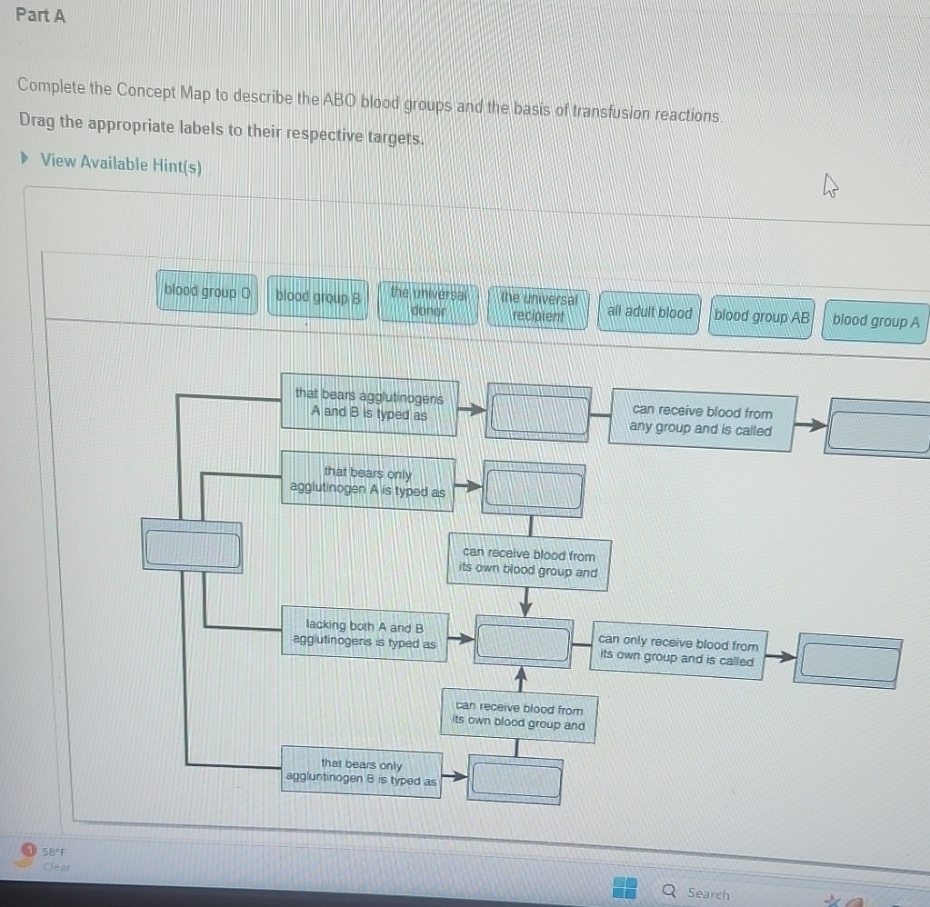 Solved Part AComplete the Concept Map to describe the ABO | Chegg.com