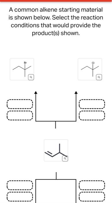 A common alkene starting material is shown below. | Chegg.com
