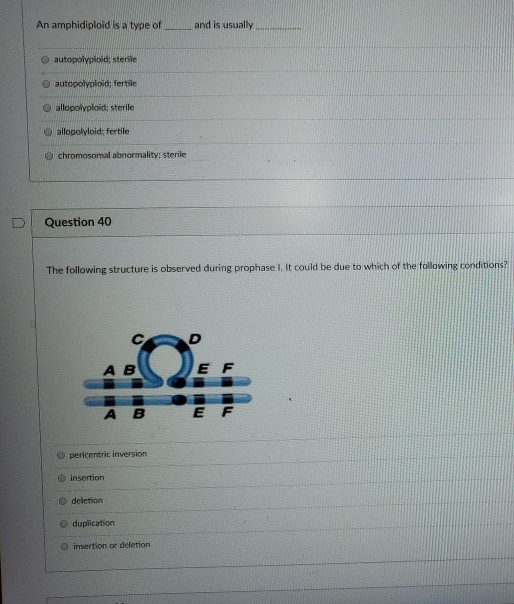 Solved An amphidiploid is a type of and is usually | Chegg.com