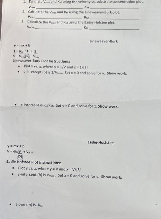 Solved 1. Estimate Vmax and Km using the velocity vs. | Chegg.com