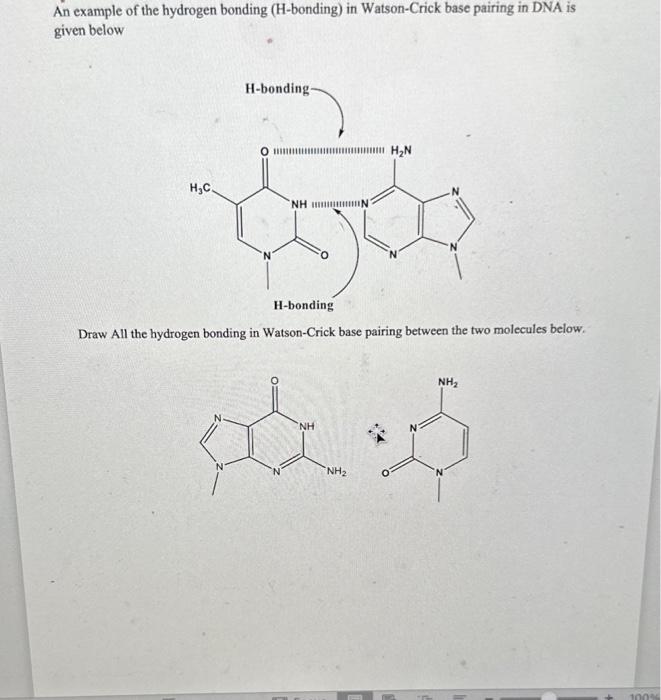 Solved An example of the hydrogen bonding (H-bonding) in | Chegg.com