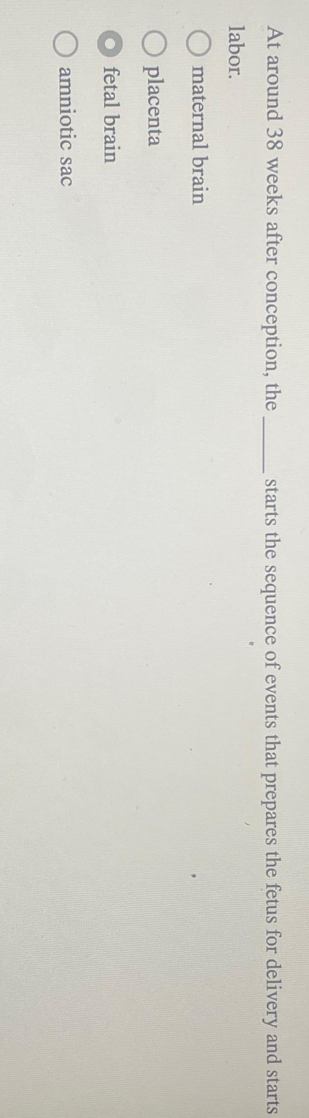 Solved At around 38 ﻿weeks after conception, the starts the | Chegg.com