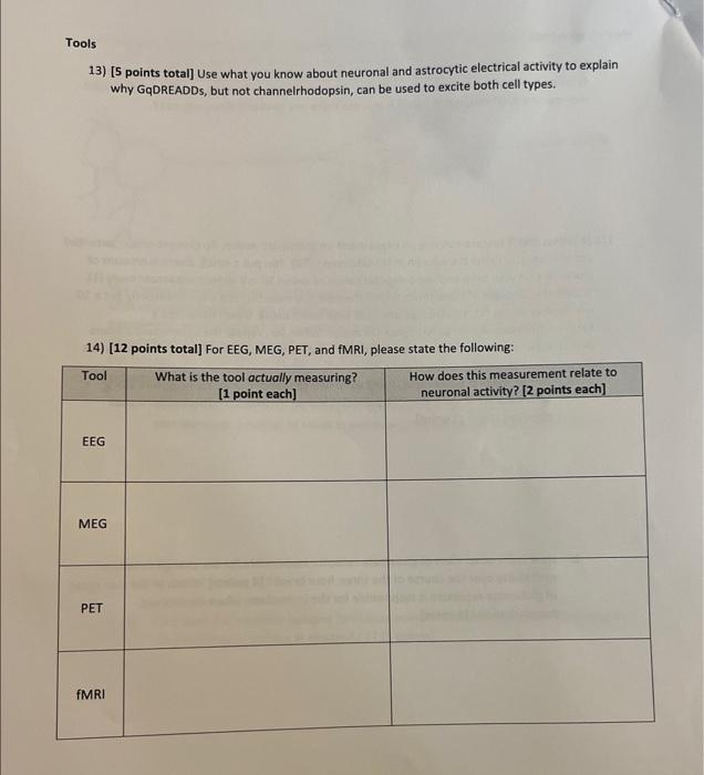 13) [5 points total] Use what you know about neuronal | Chegg.com