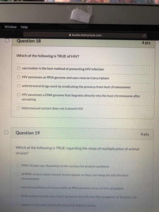Solved - Window Help bucks.instructure.com Question 18 4 pts | Chegg.com