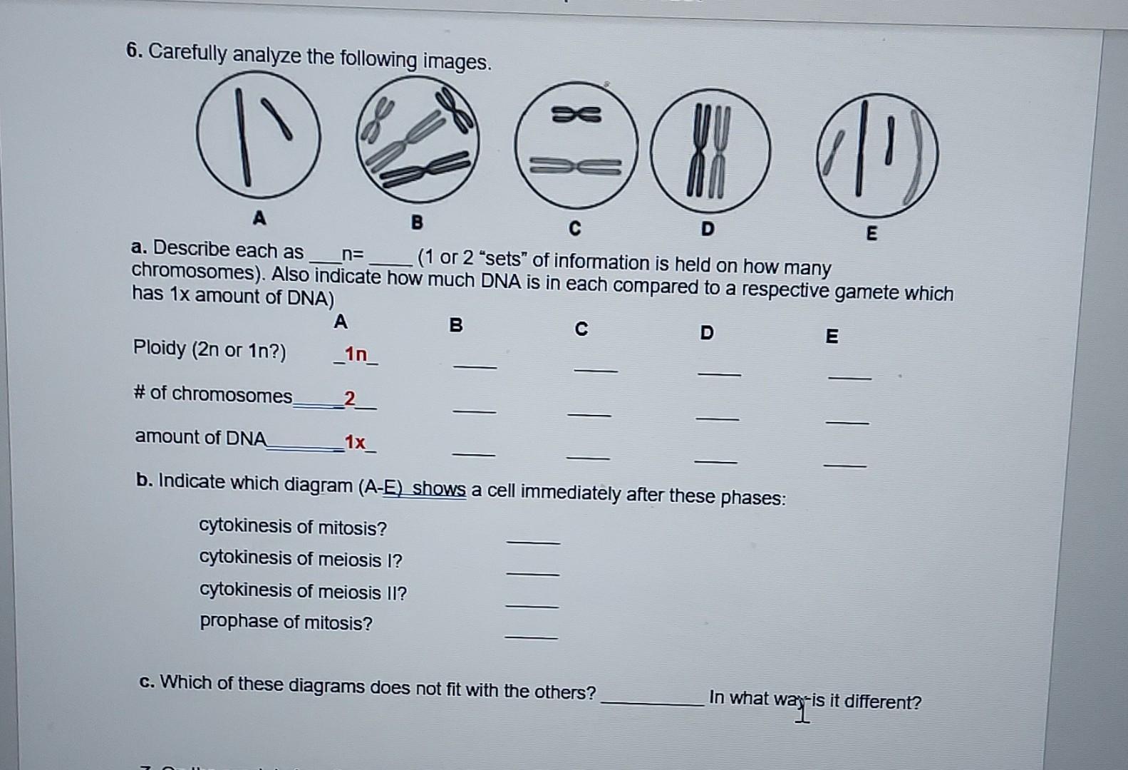 Solved 6. Carefully analyze the followina imanec a. Describe | Chegg.com