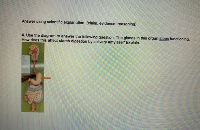 Answer using scientific explanation. (claim, | Chegg.com