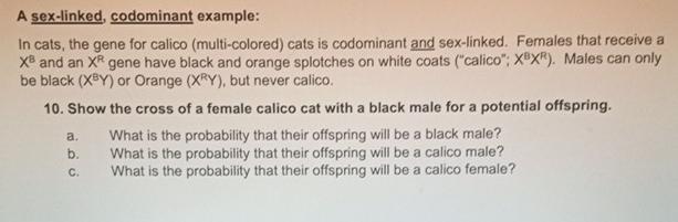 Solved A sex-linked, codominant example:In cats, the gene | Chegg.com