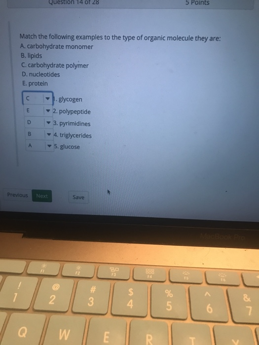 Solved Question 14 of 28 5 Points Match the following | Chegg.com