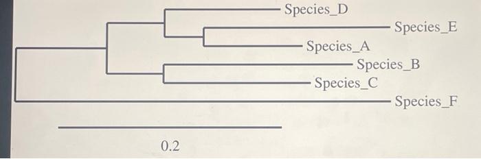 DNA Position Go back to your character matrix and | Chegg.com