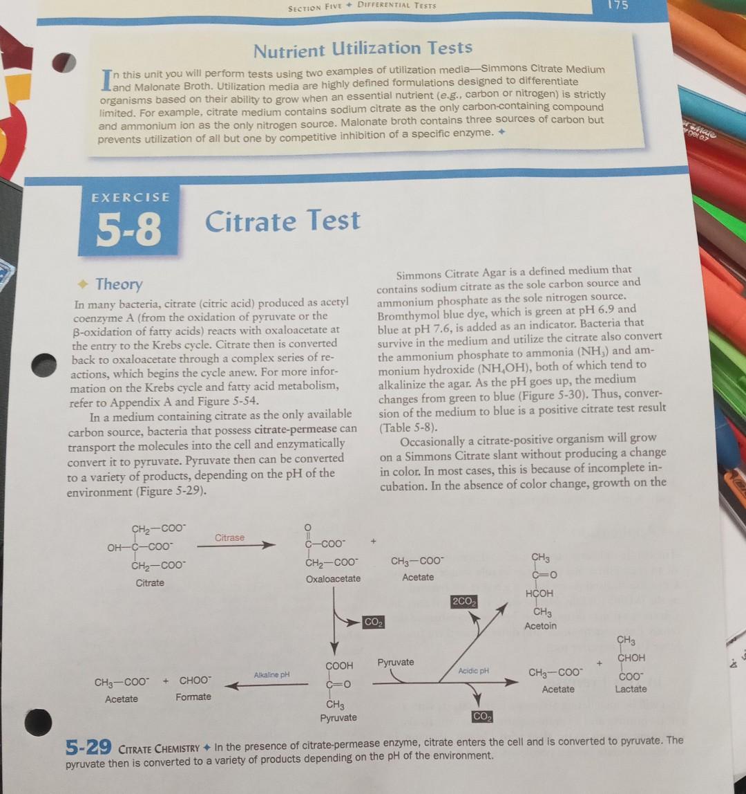 Solved OBSERVATIONS AND INTERPRETATIONS Using Table 5-8 as a | Chegg.com