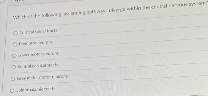 Solved Which of the following ascending pathways diverge | Chegg.com