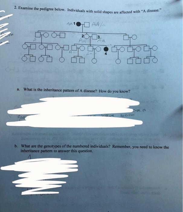 Solved 2. Examine the pedigree below. Individuals with solid | Chegg.com