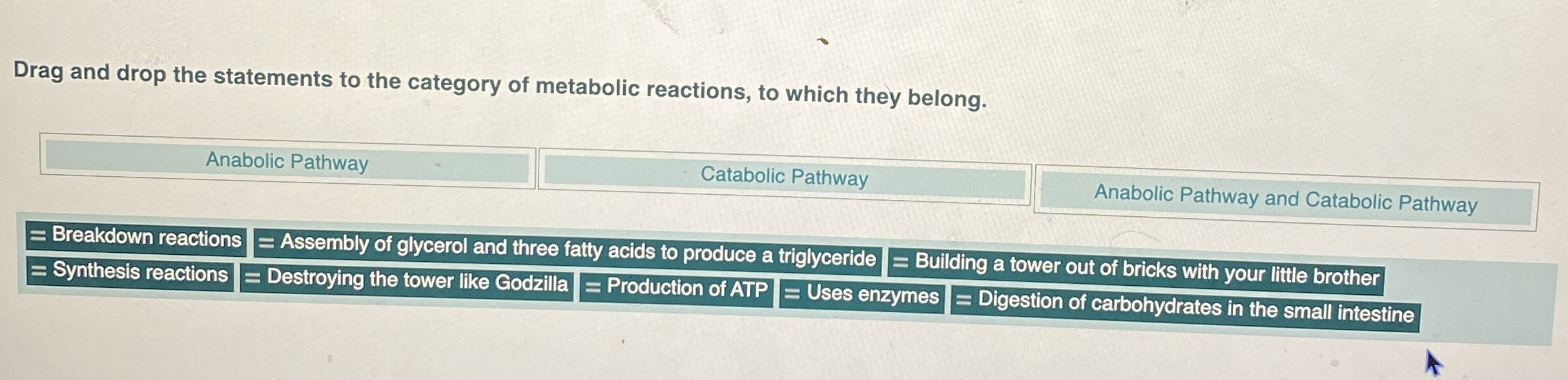 Solved Drag and drop the statements to the category of | Chegg.com