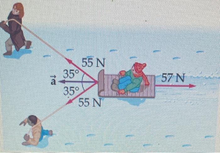 Solved Find the acceleration of the sled and child. Express | Chegg.com