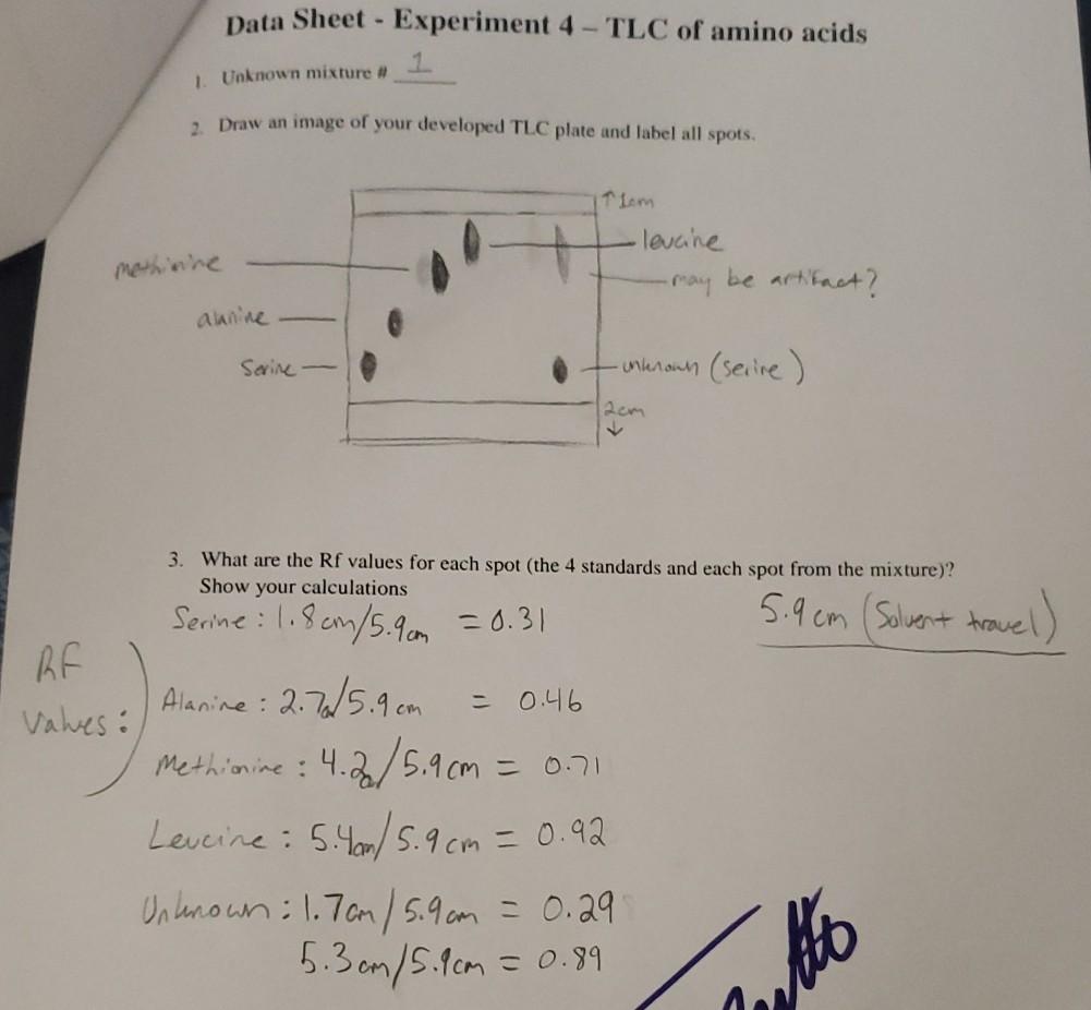 Solved Data Sheet - Experiment 4 - TLC of amino acids 1 | Chegg.com
