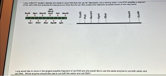 Solved of her car's DNA and analyzes the sequence and finds | Chegg.com