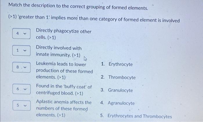 Solved Match the description to the correct grouping of | Chegg.com