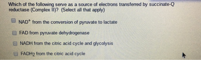 Solved Which of the following serve as a source of electrons | Chegg.com