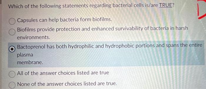 Solved Which of the following statements regarding bacterial | Chegg.com