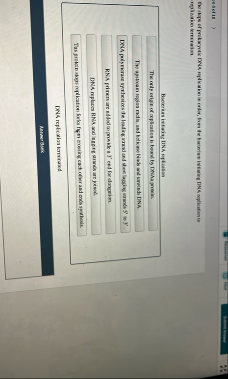 Solved on 6 ﻿of 10the steps of prokaryotic DNA replication | Chegg.com