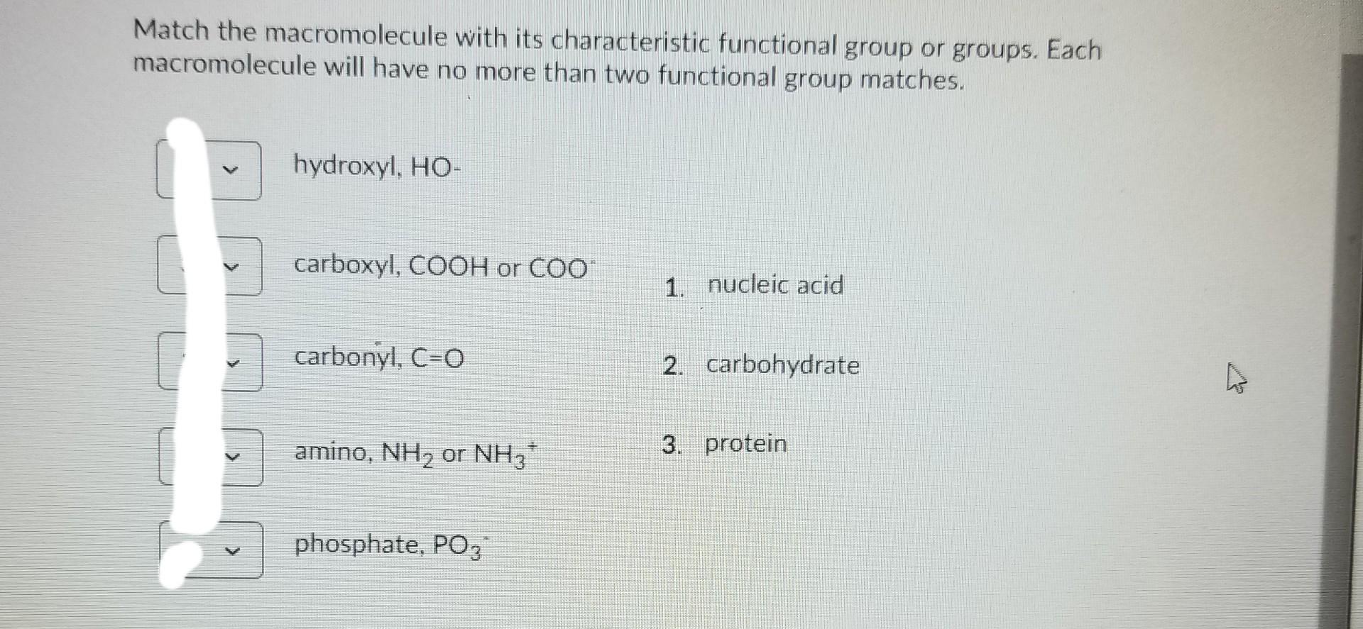 Solved Match the macromolecule with its characteristic | Chegg.com