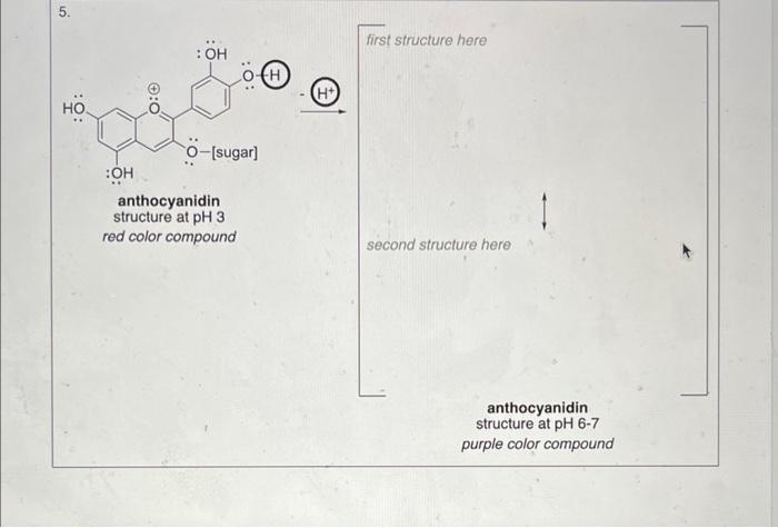 Solved 5. The structure of anthocyanin, a naturally | Chegg.com