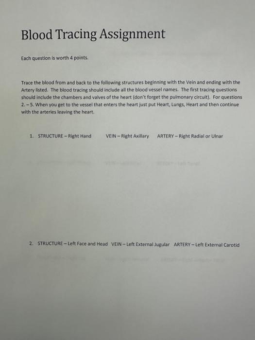 Solved Trace the blood from and back to the following | Chegg.com