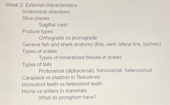 Solved ek 2: External characteristics Anatomical directions | Chegg.com