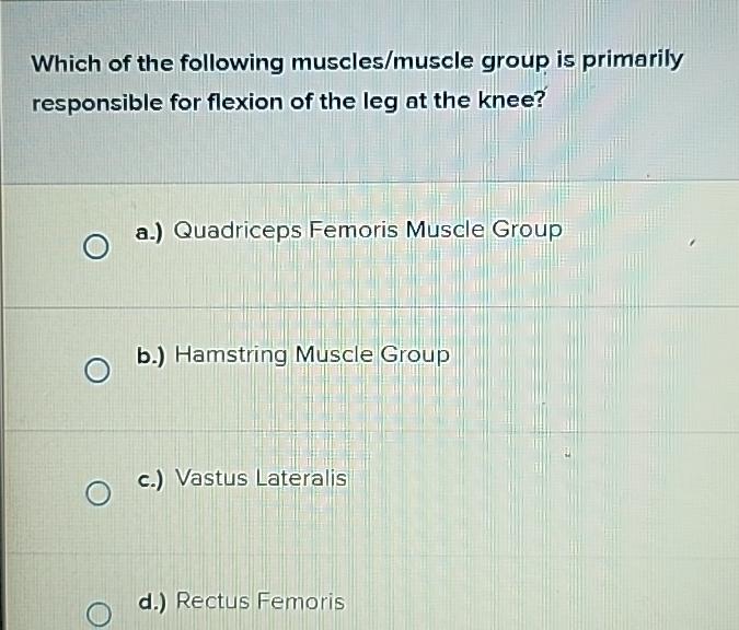 Solved Which of the following muscles/muscle group is | Chegg.com