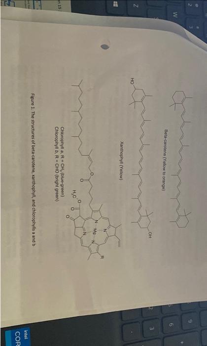 Solved 5. How does the order of elution from a column relate | Chegg.com