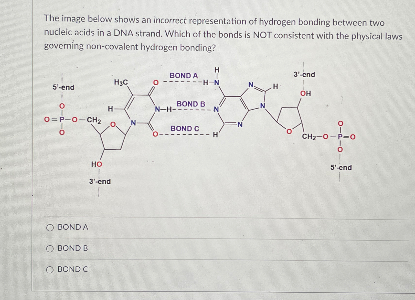 Solved The image below shows an incorrect representation of | Chegg.com