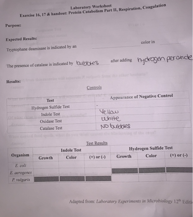 Solved Laboratory Worksheet Exercise 16, 17 & handout: | Chegg.com