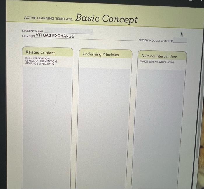 active learning template: Basic Concept STUDENT NAME | Chegg.com