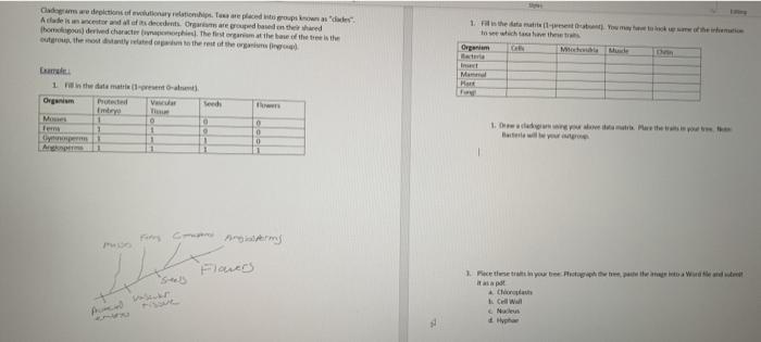Solved 1. fill in the data2. draw a cladogram using your | Chegg.com