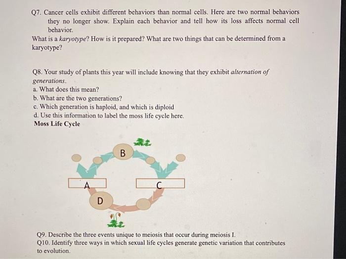 Solved Q1. What are the three key roles of cell division? | Chegg.com