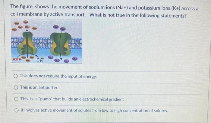 Solved The figure shows the movement of sodium ions (Na+) | Chegg.com