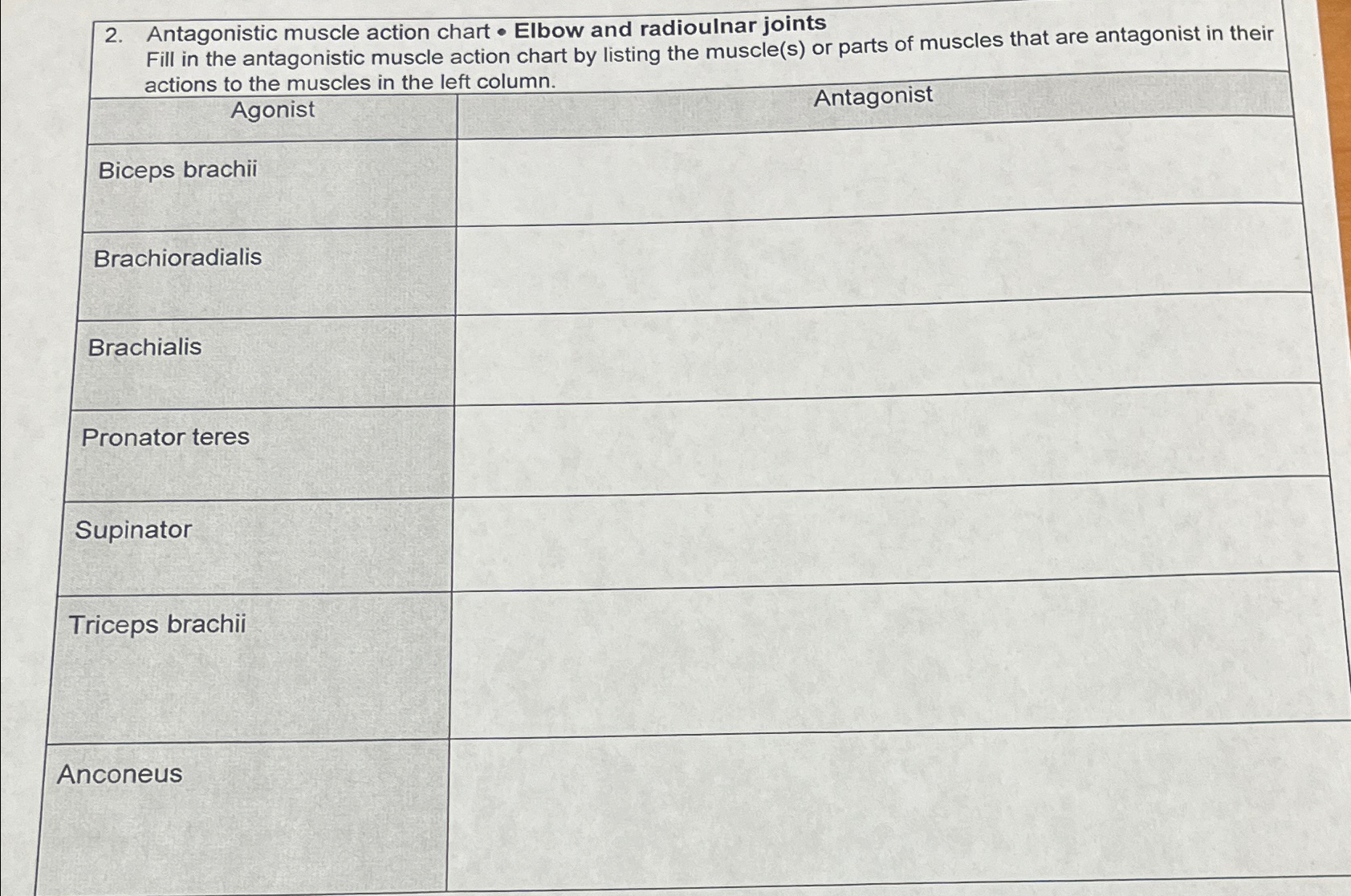Solved Antagonistic muscle action chart - ﻿Elbow and | Chegg.com
