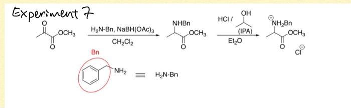 Solved Experiment 7 foon H2N-Bn, NaBH(OAC), CH2Cl2 NHBn Осн. | Chegg.com